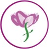 Fani Flowers – Creative Designs for all your floral needs